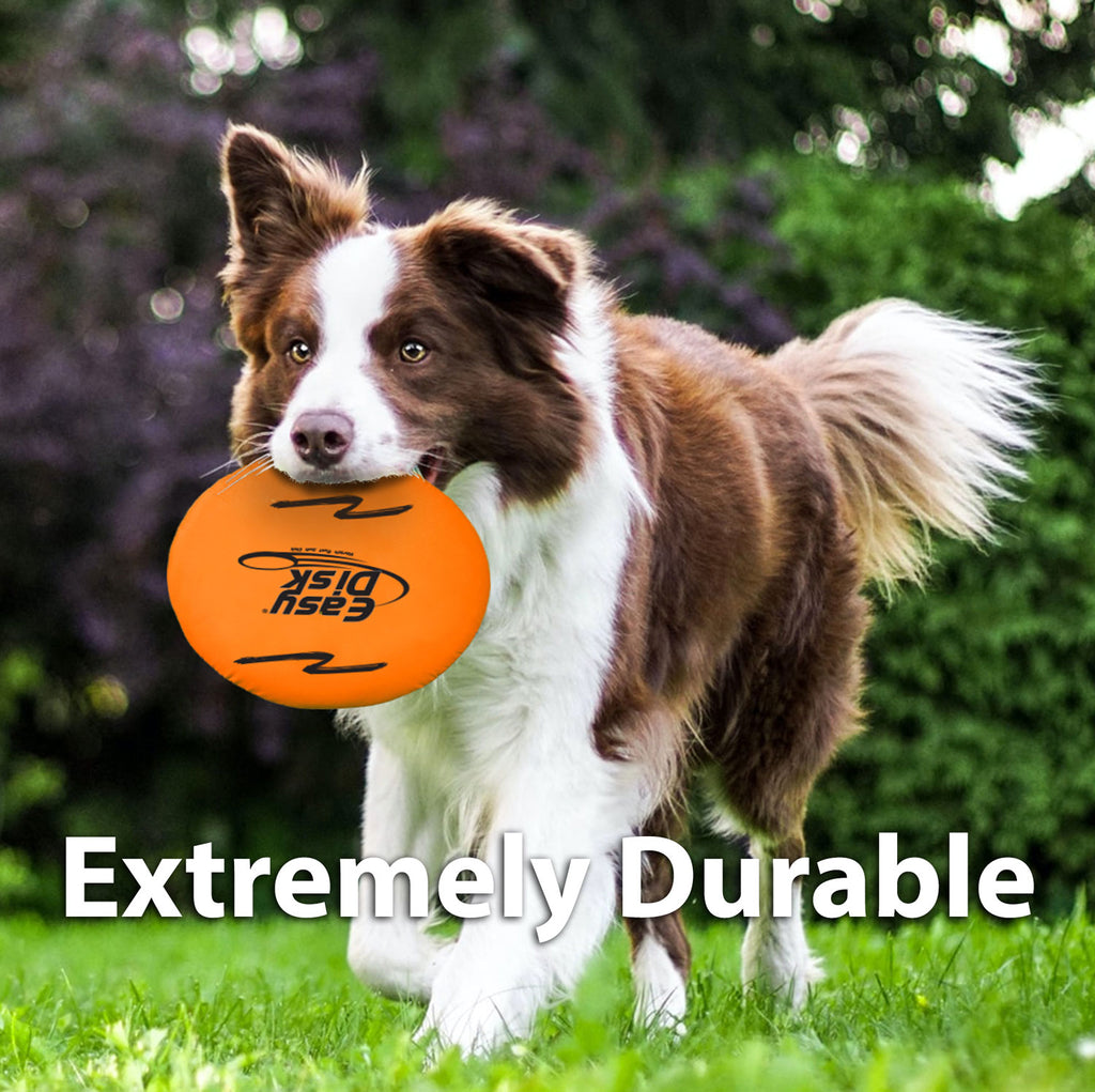 Easy Disk Pro – Funsparks